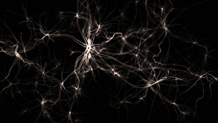 Real Neuron Synapse Network 3D Animation. Infinite Loop Inside The ... Real Neuron Synapse Network 3D Animation. Infinite Loop Inside The ...