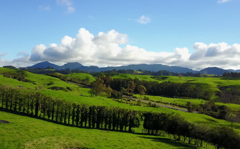 Landscape of roads and hills on New Zealand image - Free stock photo ...