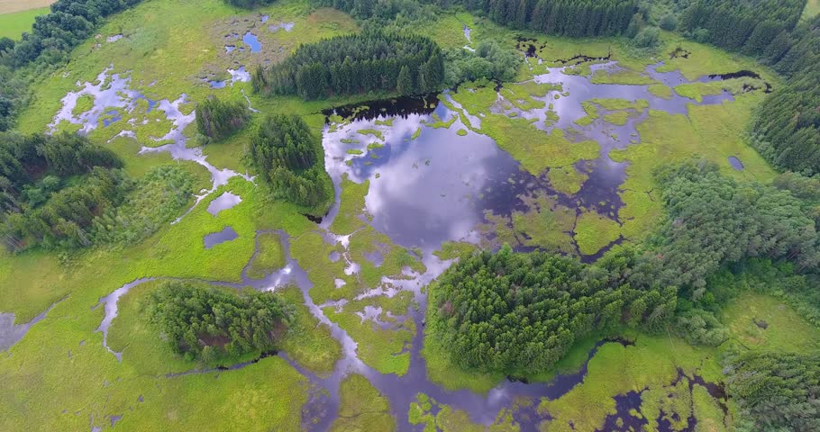 Panoramic Swamp landscape with sky and clouds image - Free stock photo ...