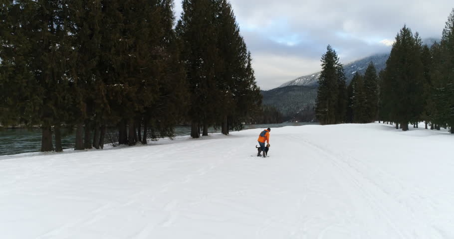 Dog walking by the stream image - Free stock photo - Public Domain ...