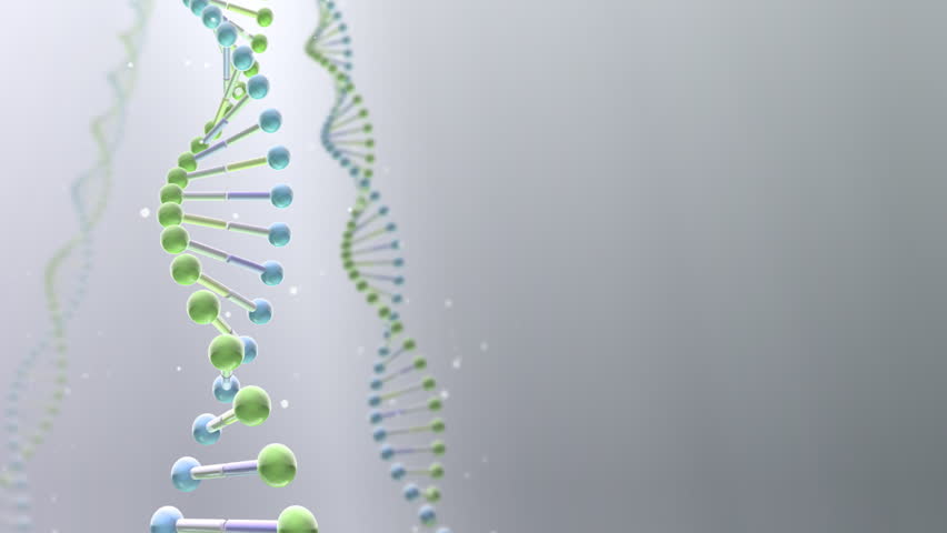 Coiled & Uncoiled Spring Loop: Green Screen, Loop + Matte Stock Footage ...