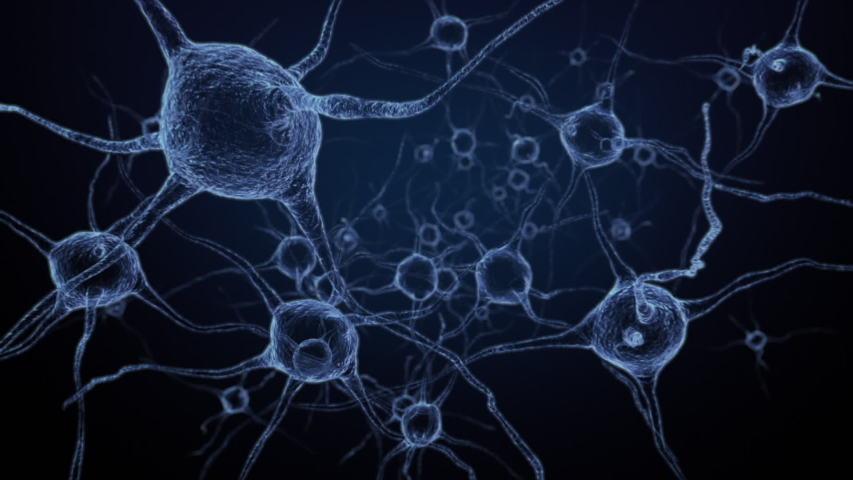 Neuron 3d Animation