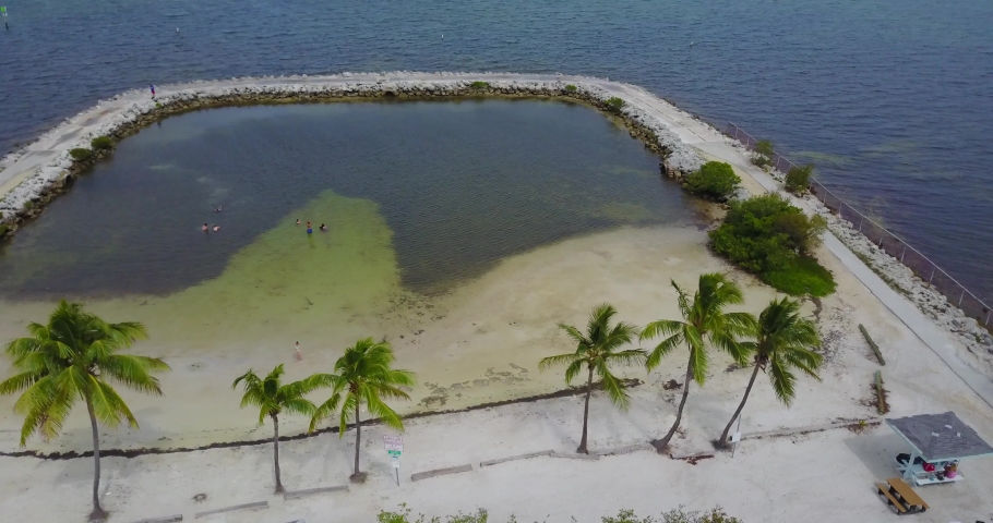 Beach and trees at Key Largo, Florida image - Free stock photo - Public ...