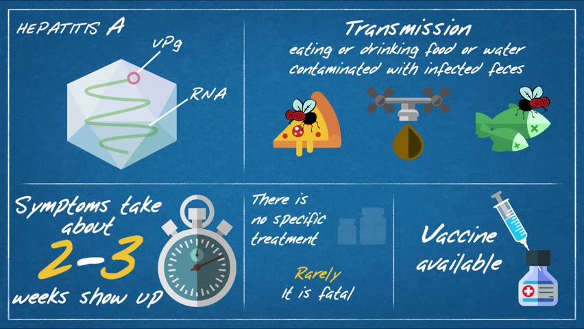 Videoclip de hepatitis A - Transmission and symptoms On blue | Shutterstock