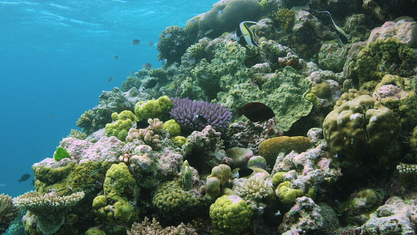 Water and ocean of the Great Barrier Reef in Queensland, Australia ...