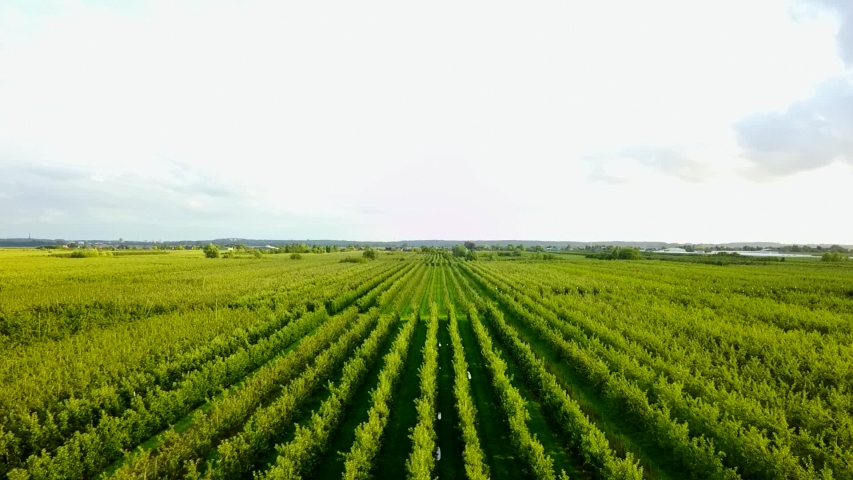 Aerial, Tracking, Drone Shot, Rising Stock Footage Video (100% Royalty ...