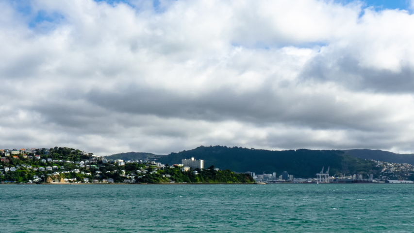 Wellington Harbour in New Zealand image - Free stock photo - Public ...