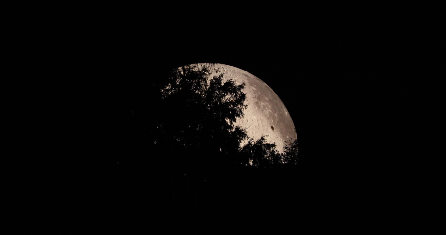 Close Up of the Moon detail image - Free stock photo - Public Domain ...