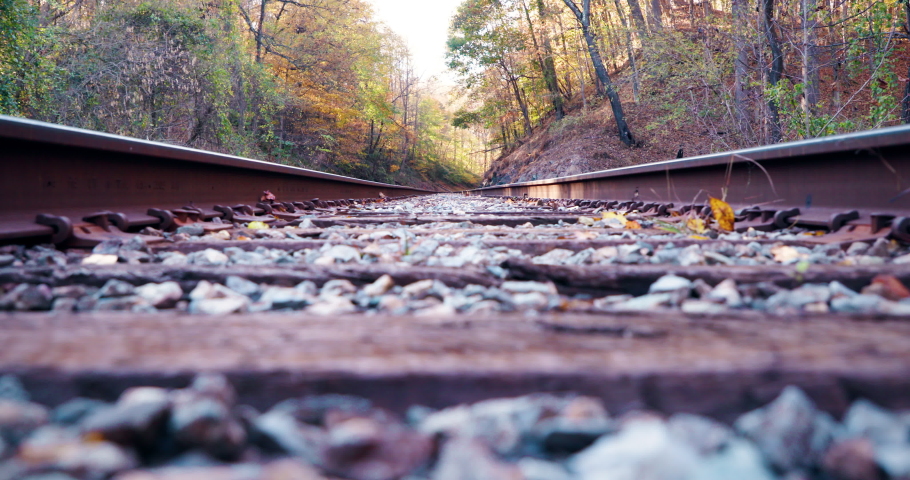 Fall Railroad Tracks and leaves in the forest image - Free stock photo - Public Domain photo ...