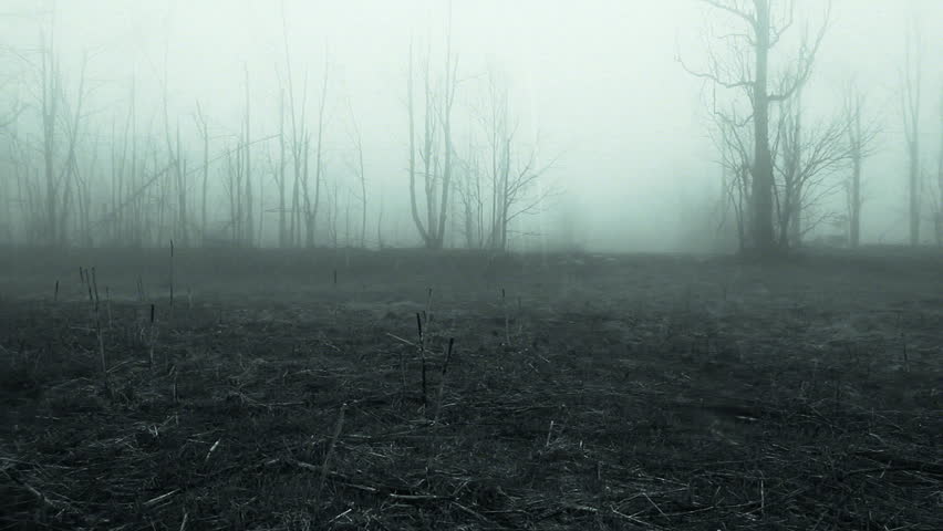 AERIAL: Country Road Leading Through Dark Creepy Fields With Scary ...