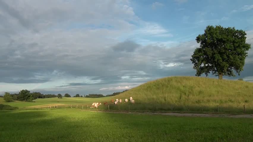 A Shot Of The Beautiful Welsh Countryside Shot On A Sunny Summer/Autumn ...