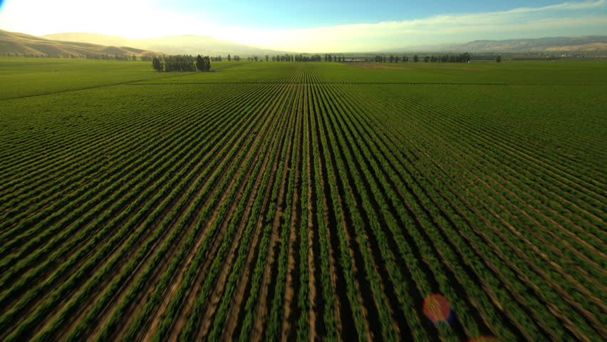 Aerial California USA Farming Crops Field Vegetation Agricultural Stock ...