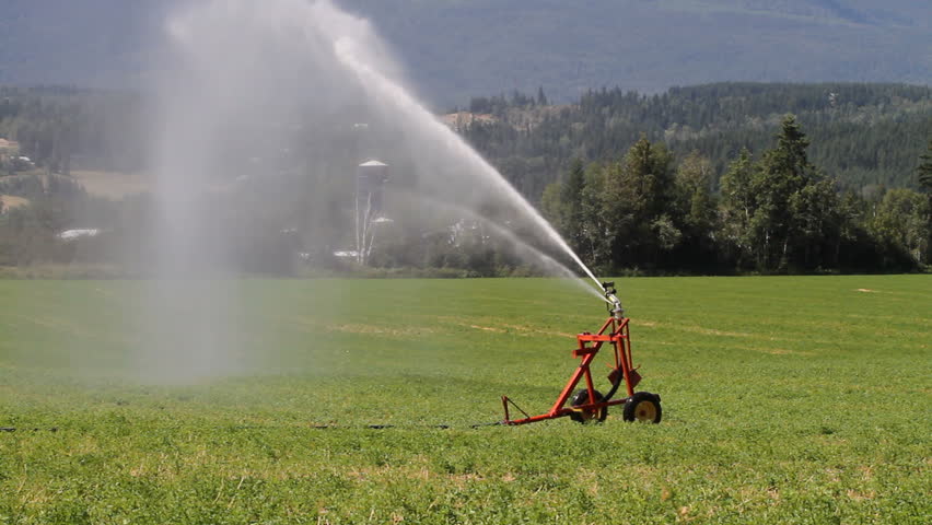 Irrigation Sprinkler in Hayfield Stock Footage Video (100% Royalty-free ...