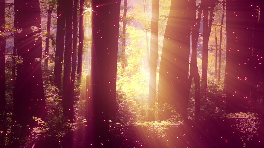 Amazing Natural Wonderland Wth Fireflies And Lightrays In The Sunset ...
