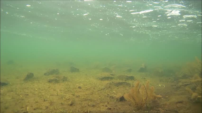 Underwater Footage. View From The Bottom Of The Mountain Lake Covered ...