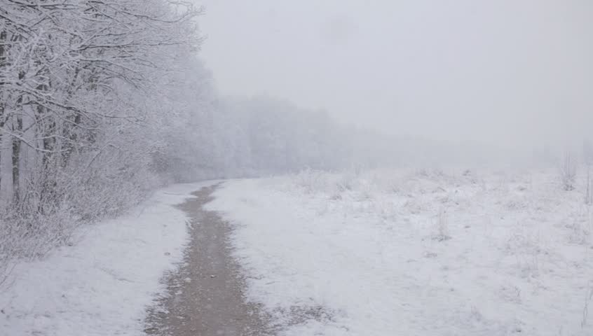 Stock video of snow falling on path in covered | 14453602 | Shutterstock