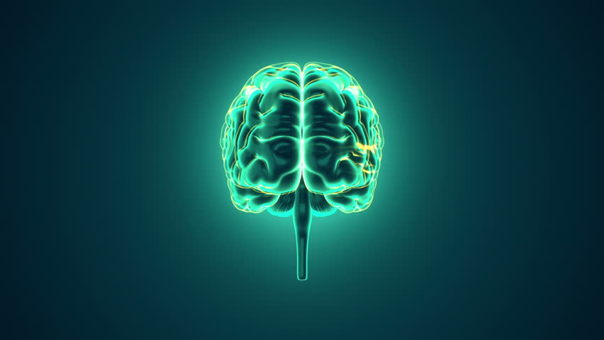 Abstract Background With Animation Of Rotation Human Brain With Glow ...
