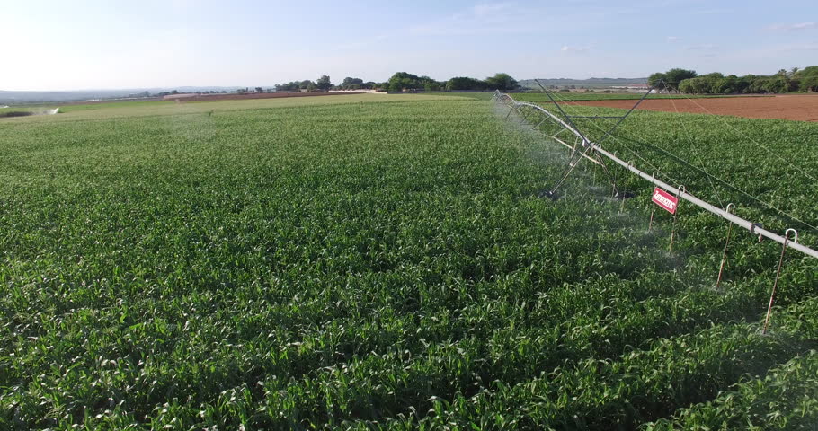 Aerial View Of Corn Fields Being Irrigated With Center Pivot System On ...
