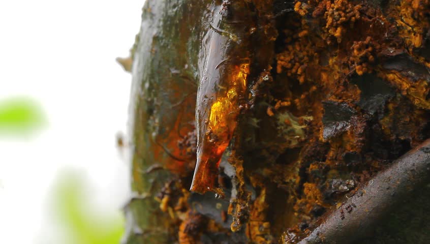 Solid Amber Resin On a Stock Footage Video (100% Royalty-free) 16269892 ...
