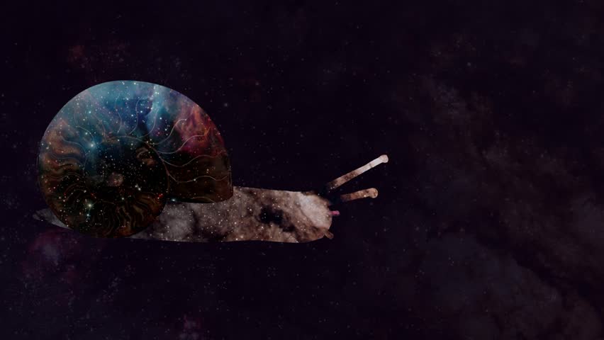 Steampunk, Space Snail , Snail In Space ,animals In Space, Snail ...