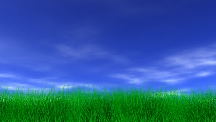 Beautiful Green Grass and Blue Stock Footage Video (100% Royalty-free ...