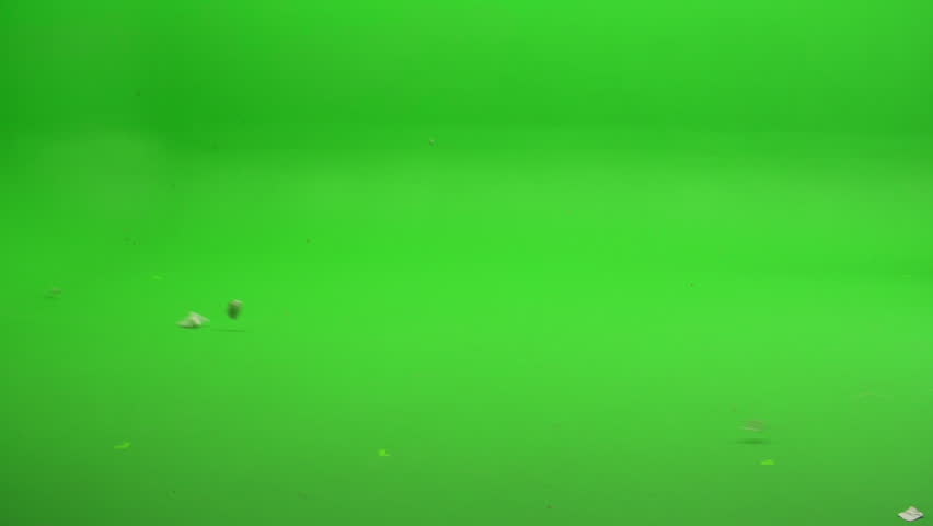 Green Screen Shot. Foreground Element Stock Footage Video (100% Royalty ...