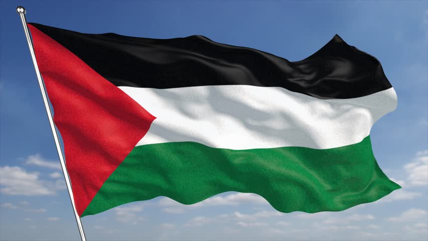 The 4k Palestine Flag Animated Vidéos de stock (100 % libres de droit ...