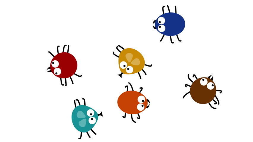 Funny Black Insects Crawling On White, 2d Animated Cartoon, Seamless ...