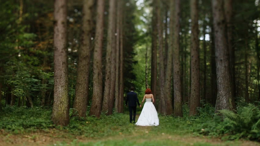 Bride and Groom Walk in Stock Footage Video (100% Royalty-free ...