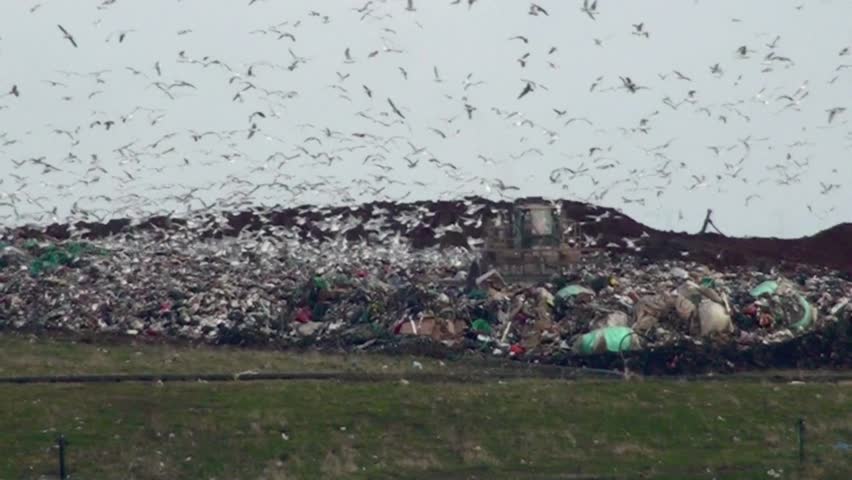 Stock Video Clip of Working landfill site with machinery pushing ...