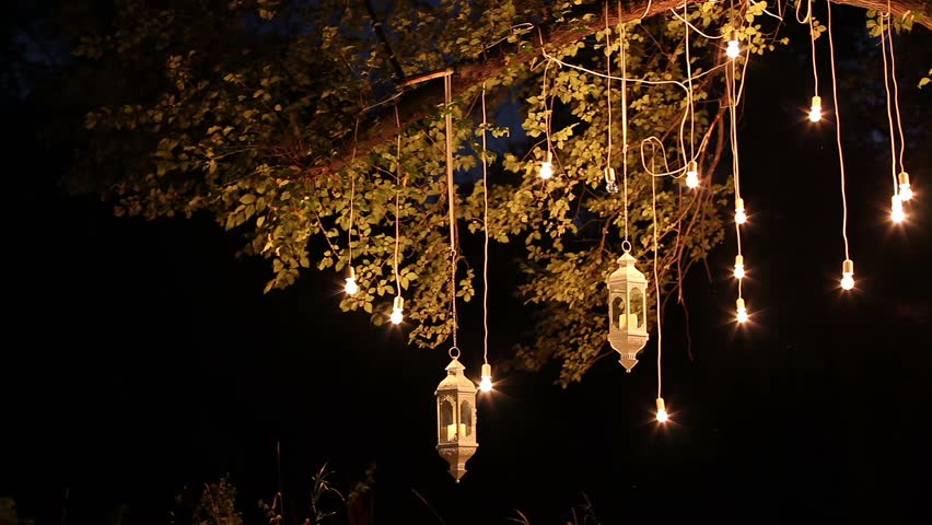 Decorative Antique Edison Style Filament Light Bulbs Hanging In The ...