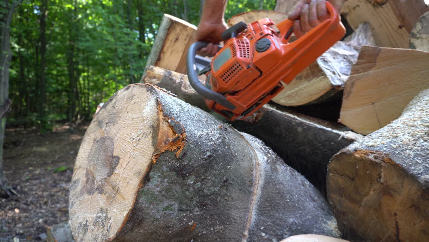 Woodcutter In The Mountain, Forest Cutting, Wood Industry, Man Chopping ...