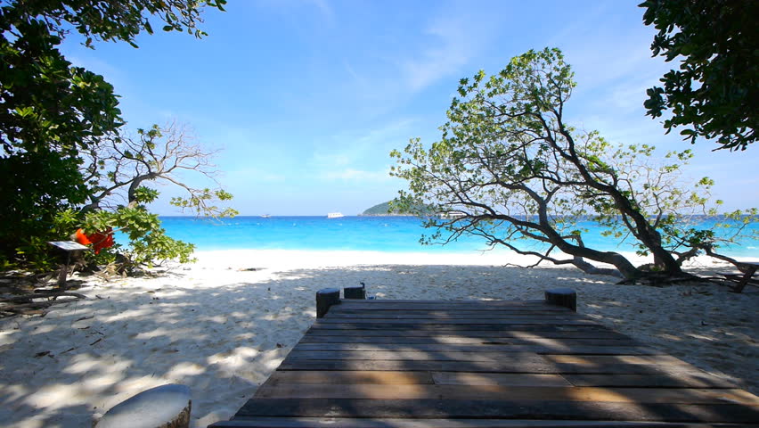 Tropical Beach Through Foliage Stock Footage Video 948316 | Shutterstock