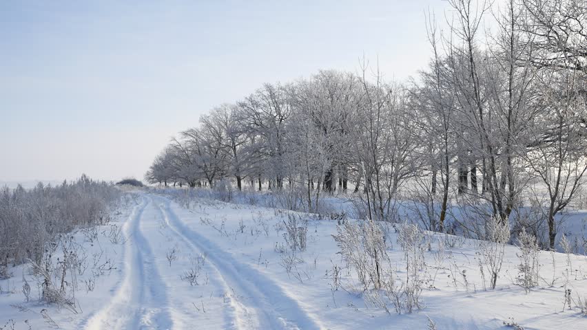 Snow Blizzard In Rural Community Late Winter And Early Spring. Tree ...