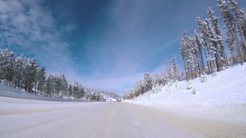 Background Winter Video In Snowfall Forest. Use For Winter And ...