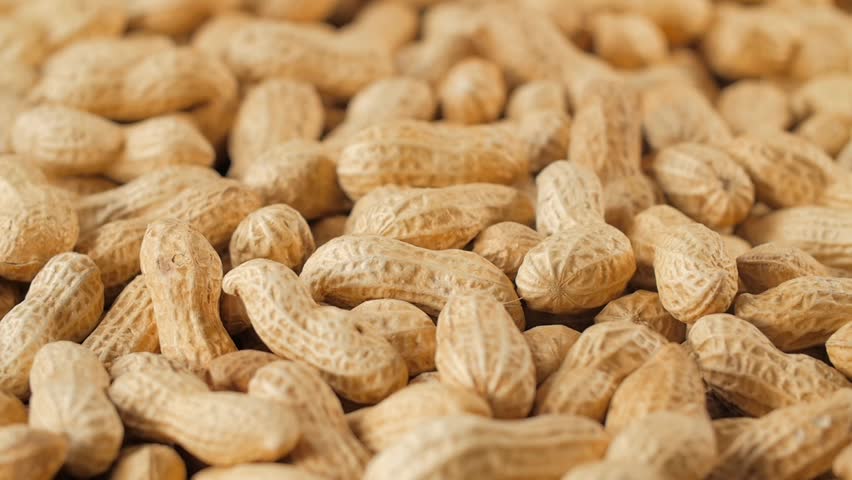 Peanuts in shells image - Free stock photo - Public Domain photo - CC0 ...