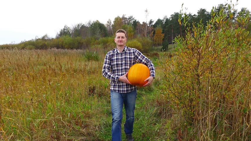 Handsome Young Adult Farmer Stretch Out Hands With Big Orange Pumpkin ...