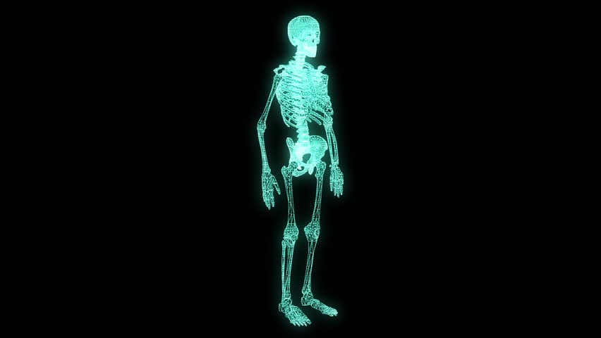 Human Skeleton Wireframe Hologram In Motion. Nice 3D Rendering Stock ...