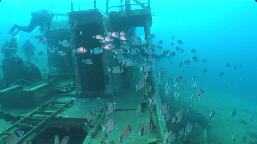 Scuba Diver In Wreck Hello Fish Inside Wreck Shipwreck Underwater Stock ...
