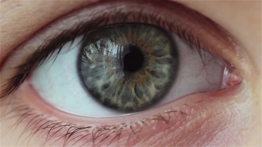 Intense Gaze, Eye In Macro. Close-up Eye Blinking. Stock Footage Video ...