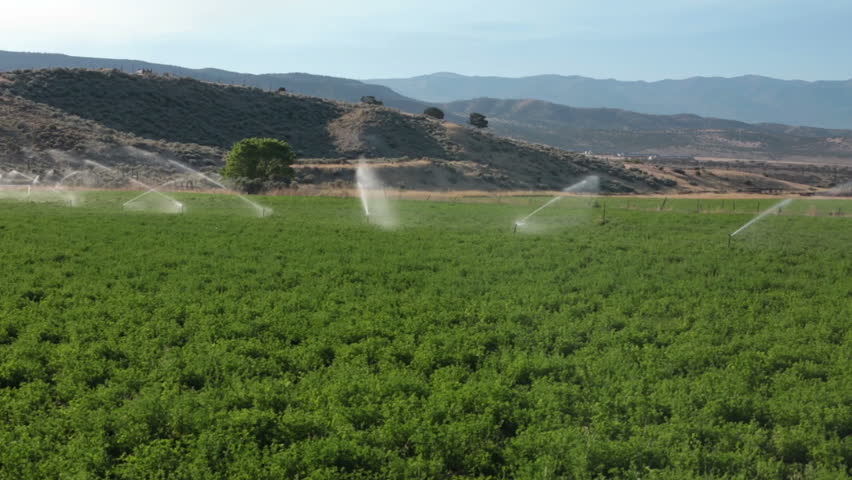 Farm Irrigation Hay Crop Field. Stock Footage Video (100% Royalty-free ...