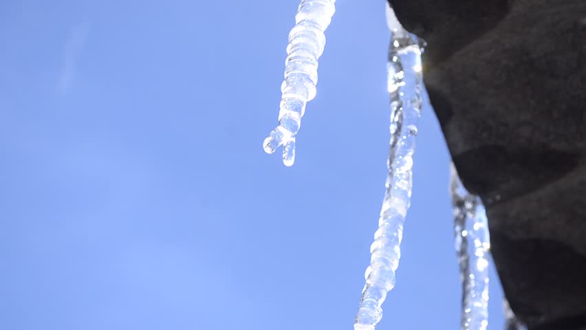 Dripping Icicles, Melting Icicles, Icicle Hanging From Roof, Spring ... Dripping Icicles, Melting Icicles, Icicle Hanging From Roof, Spring ...