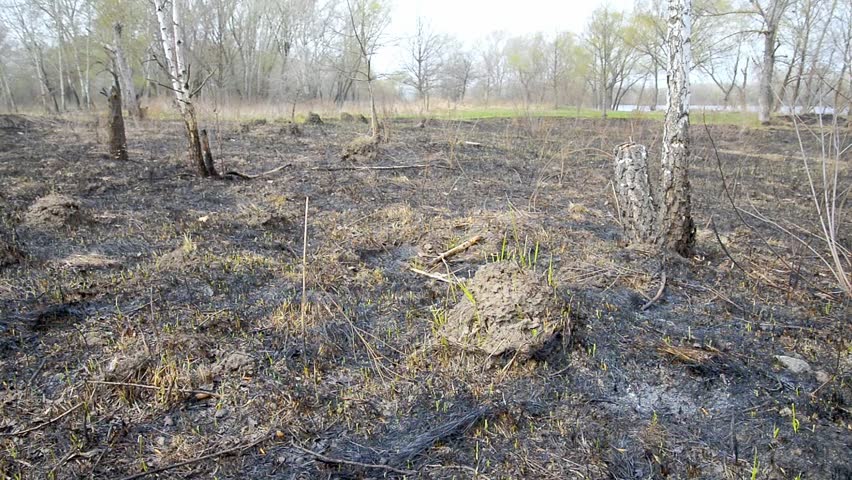 Stock video of land after fire consequences: dry ground, | 25851872 ...