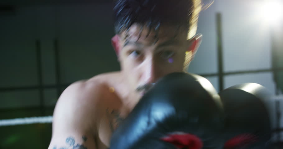 Professional Young Boxer in the Stock Footage Video (100% Royalty-free ...