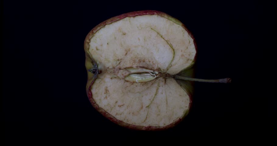 Timelapse Of Apple Core Decaying On The Black Background Stock Footage ...