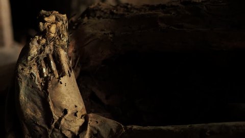 Mummification Stock Video Footage - 4K and HD Video Clips | Shutterstock