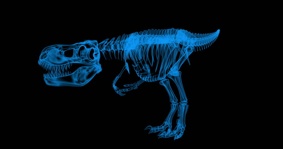 T. Rex skull image - Free stock photo - Public Domain photo - CC0 Images