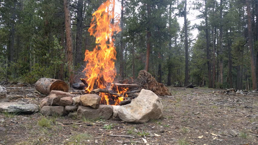 Large Camp Fire in Pine Stock Footage Video (100% Royalty-free ...