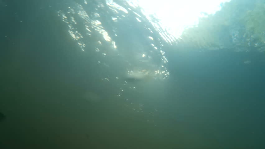 Beautiful Underwater Sea Scene View With Natural Light Rays, Shining ...