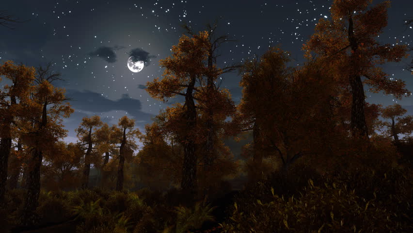 Spooky Autumn Forest Background